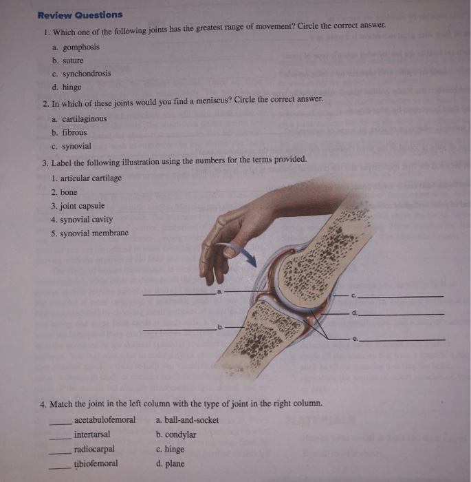 Solved Review Questions 1. Which one of the following joints | Chegg.com