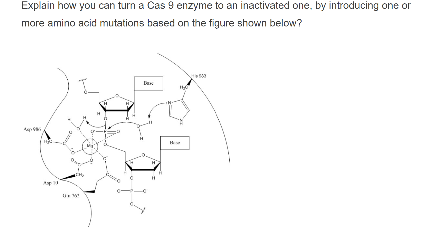 Solved Explain how you can turn a Cas 9 enzyme to an | Chegg.com