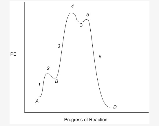 Solved In the PE diagram, which step has the largest rate | Chegg.com