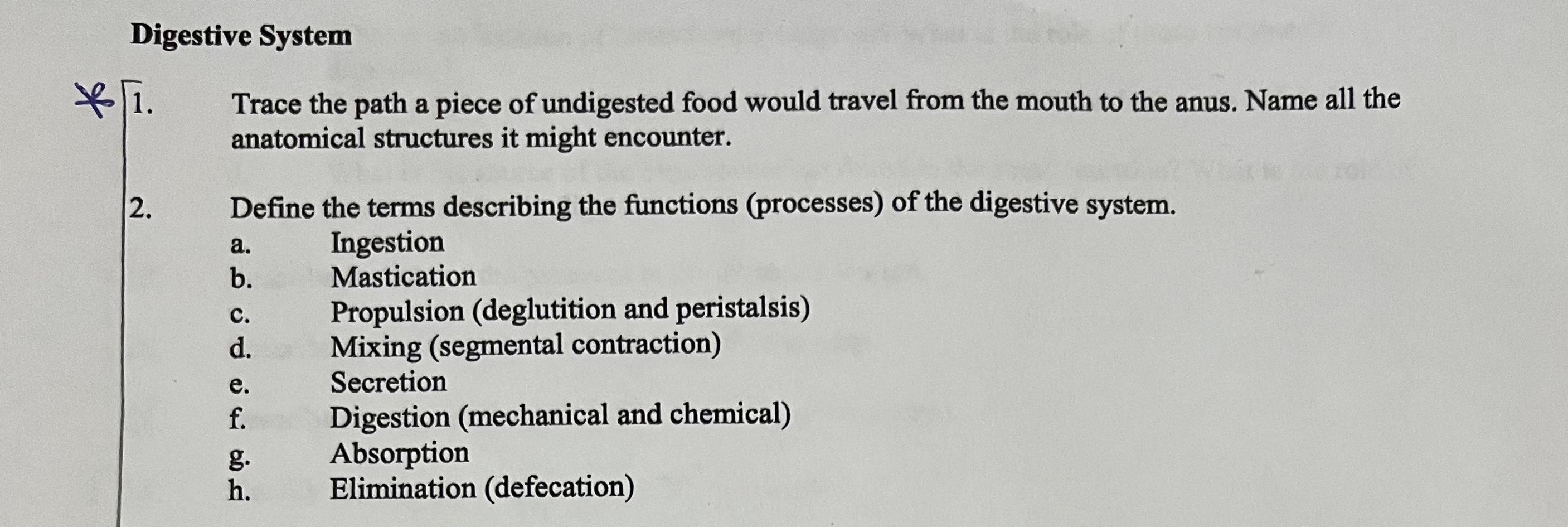 Solved Digestive System 1. Trace the path a piece of | Chegg.com