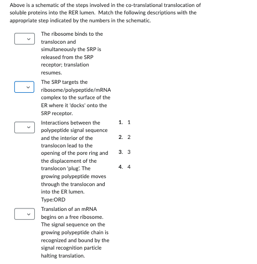 Solved Above is a schematic of the steps involved in the | Chegg.com