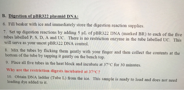 Solved Ask for the question why are the restriction digests | Chegg.com