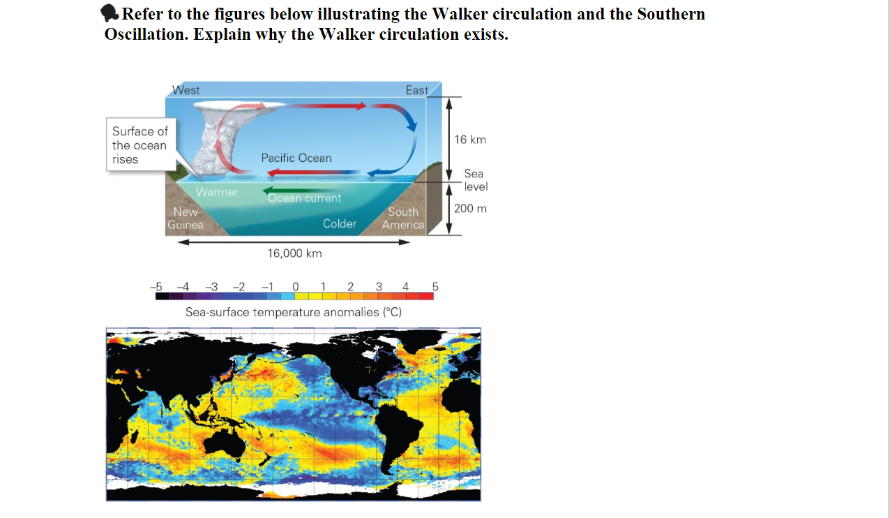 Solved Refer to the figures below illustrating the Walker | Chegg.com