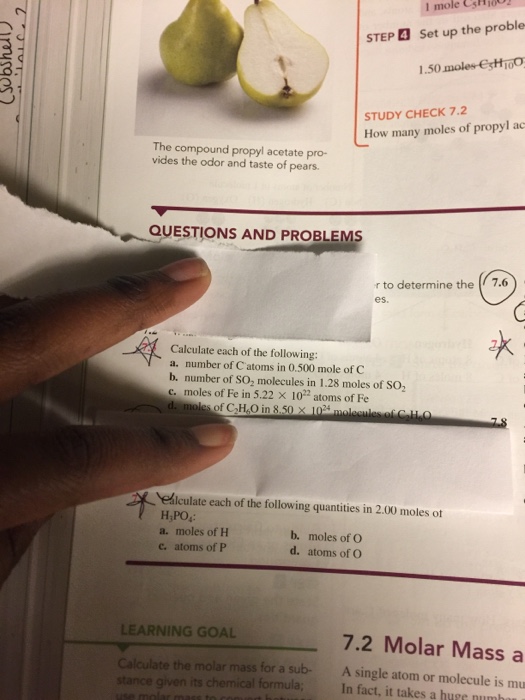 Solved Calculate each of the following: number of C atoms | Chegg.com