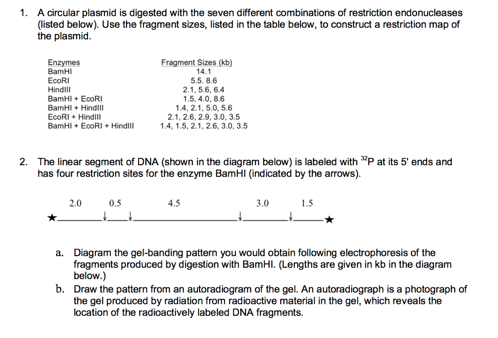 Solved Hi, can someone please help with these Genetics | Chegg.com