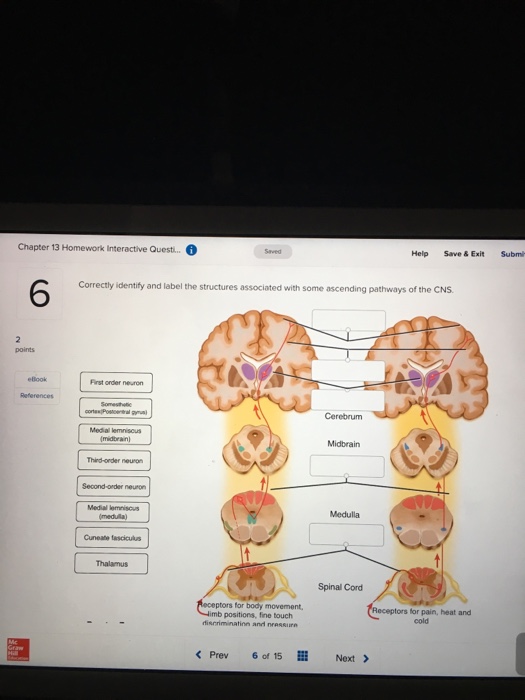Solved Chapter 13 Homework Interactive Quest.. Help Save & | Chegg.com Solved Chapter 13 Homework Interactive Quest.. Help Save & | Chegg.com