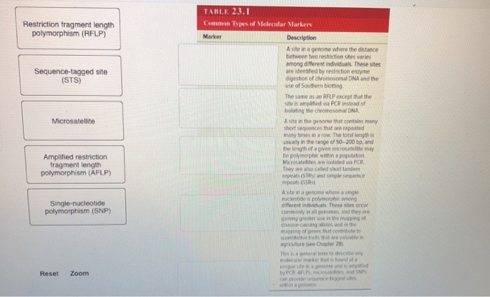 Solved Restriction fragment length polymorphism (RFLP) TABLE | Chegg.com