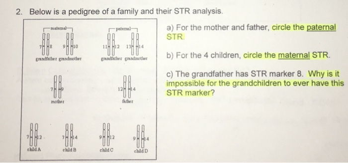 Solved Below is a pedigree of a family and their STR | Chegg.com