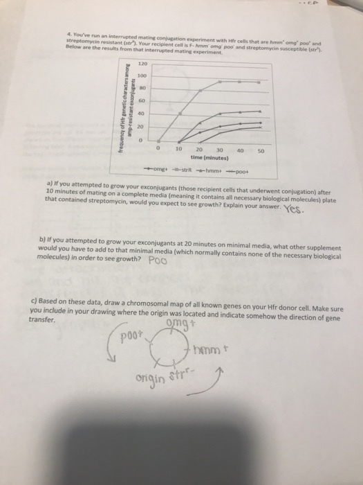 4. You've run an interrupted mating conjugation | Chegg.com