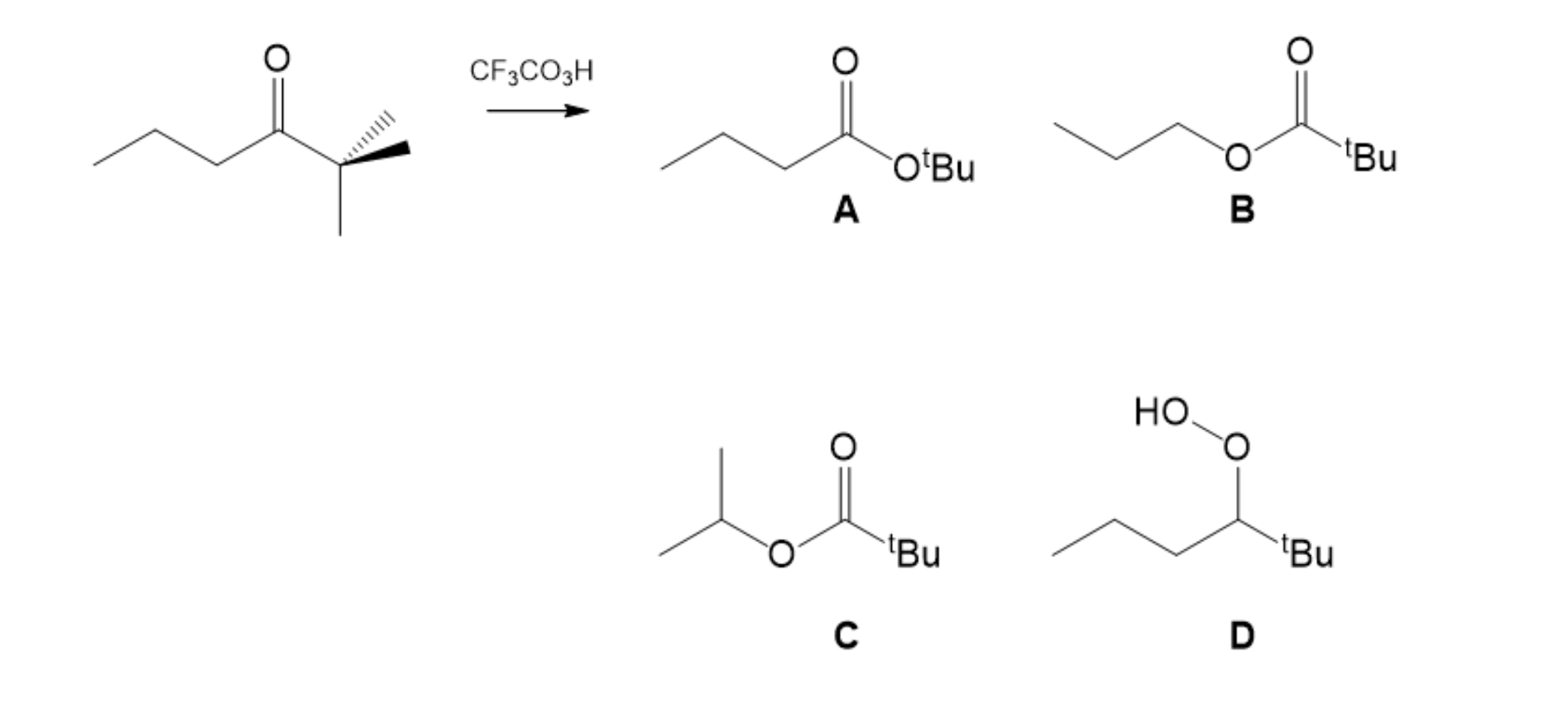 Solved CF3CO3H tBu O'Bu A W O НО. O Bu Bu C D | Chegg.com