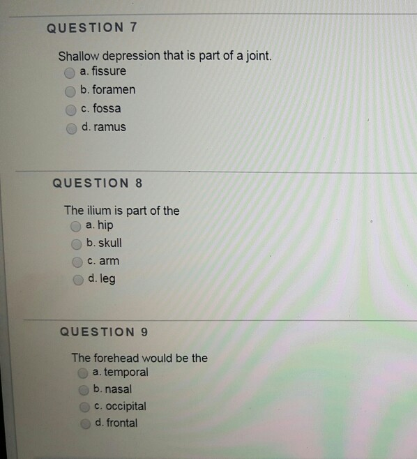 Solved QUESTION 7 Shallow depression that is part of a | Chegg.com