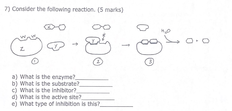 Solved 7) Consider the following reaction. (5 marks) o H₂O 1 | Chegg.com