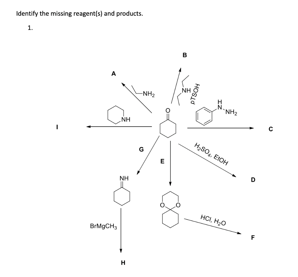 Solved Identify the missing reagent(s) and products. 1. B A | Chegg.com