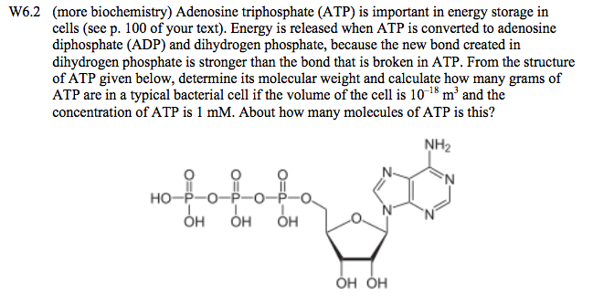 Solved W6.2 (more biochemistry) Adenosine triphosphate (ATP) | Chegg.com