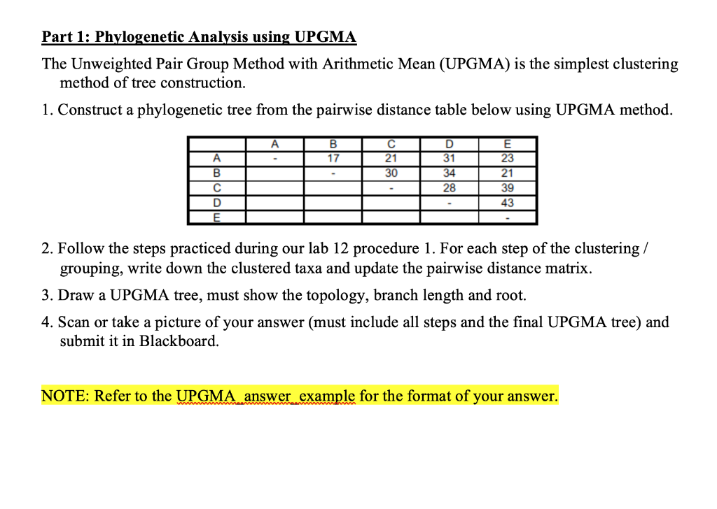 Solved Part 1: Phylogenetic Analysis using UPGMA The | Chegg.com