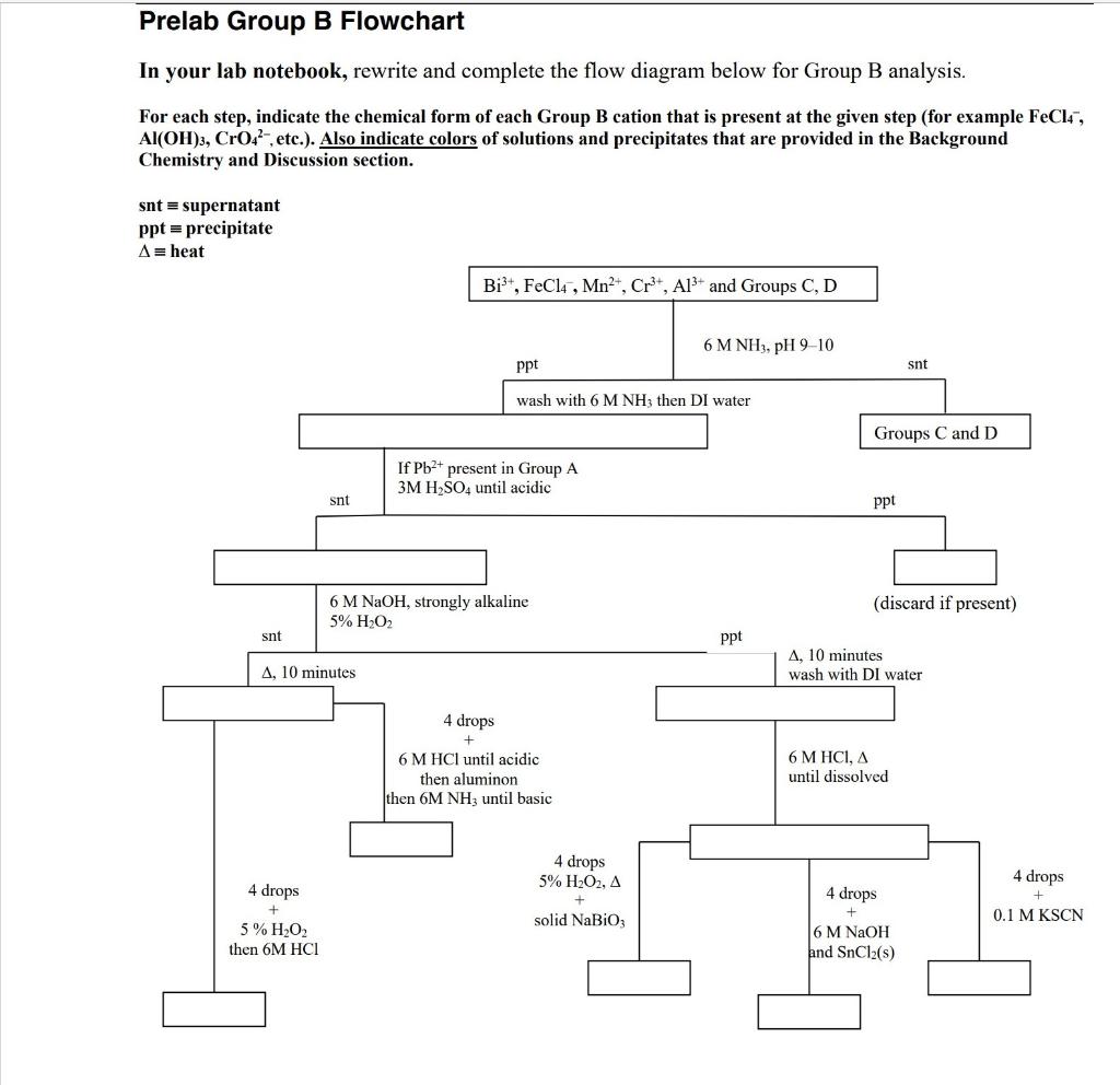 Solved Prelab Group B Flowchart In your lab notebook, | Chegg.com