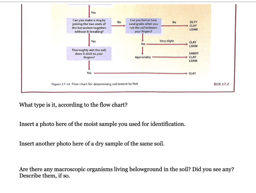 Soil Texture Flow Chart