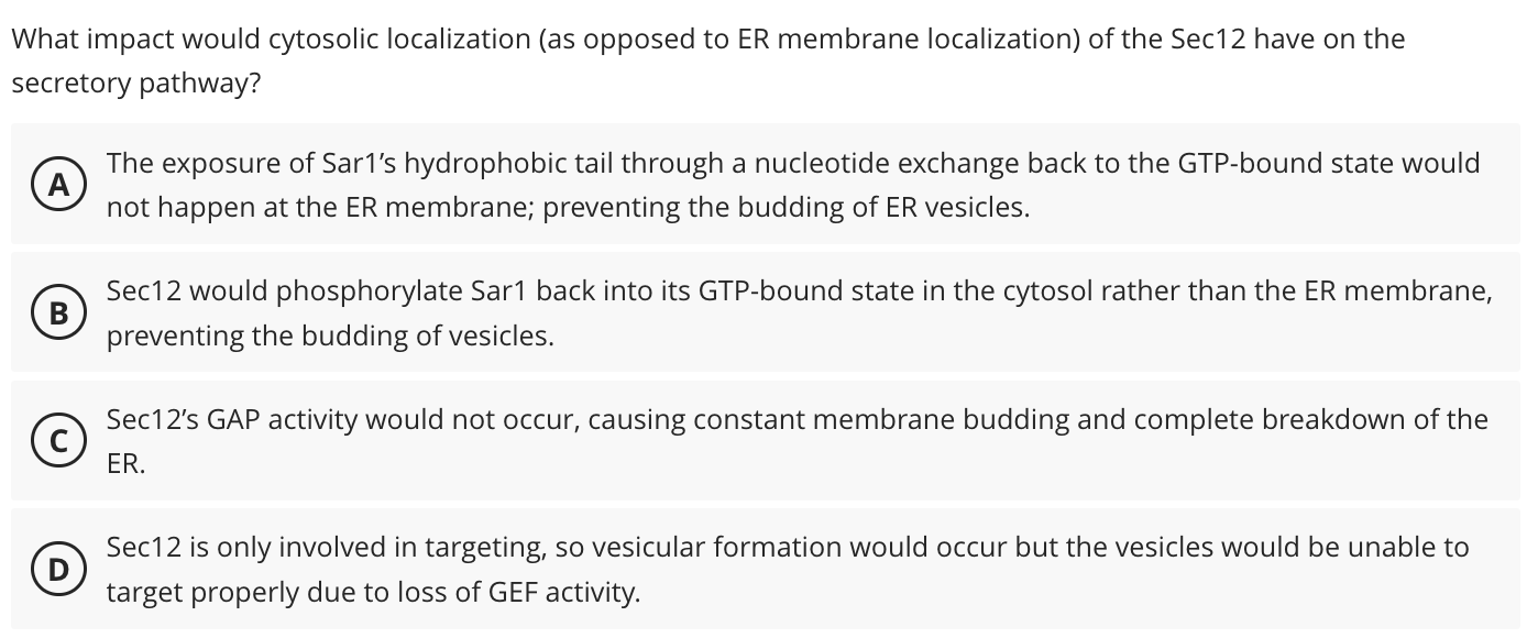 Solved What impact would cytosolic localization (as opposed | Chegg.com