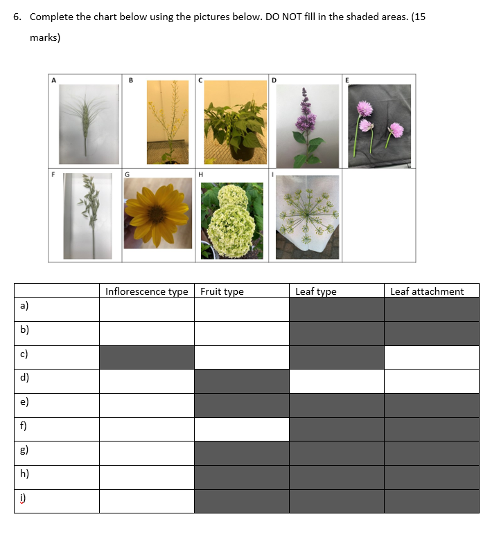 Solved Complete the chart below using the pictures below. DO | Chegg.com