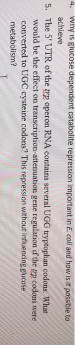 Solved 4. wny is glucose dependent catabolite repression | Chegg.com