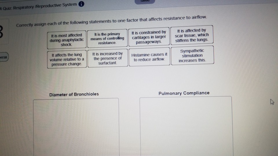 Solved 4 Quiz Respiratory /Reproductive System Correctly | Chegg.com Solved 4 Quiz Respiratory /Reproductive System Correctly | Chegg.com