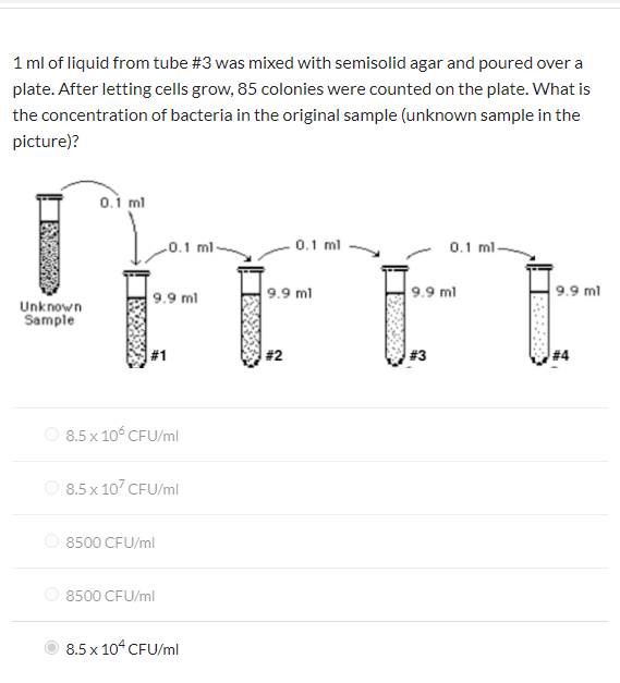 Solved 1 ml of liquid from tube #3 was mixed with semisolid | Chegg.com