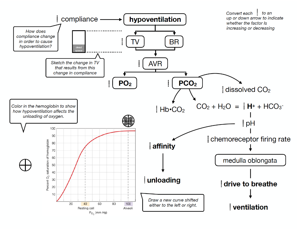 Convert each | compliance → hypoventilation to an up | Chegg.com