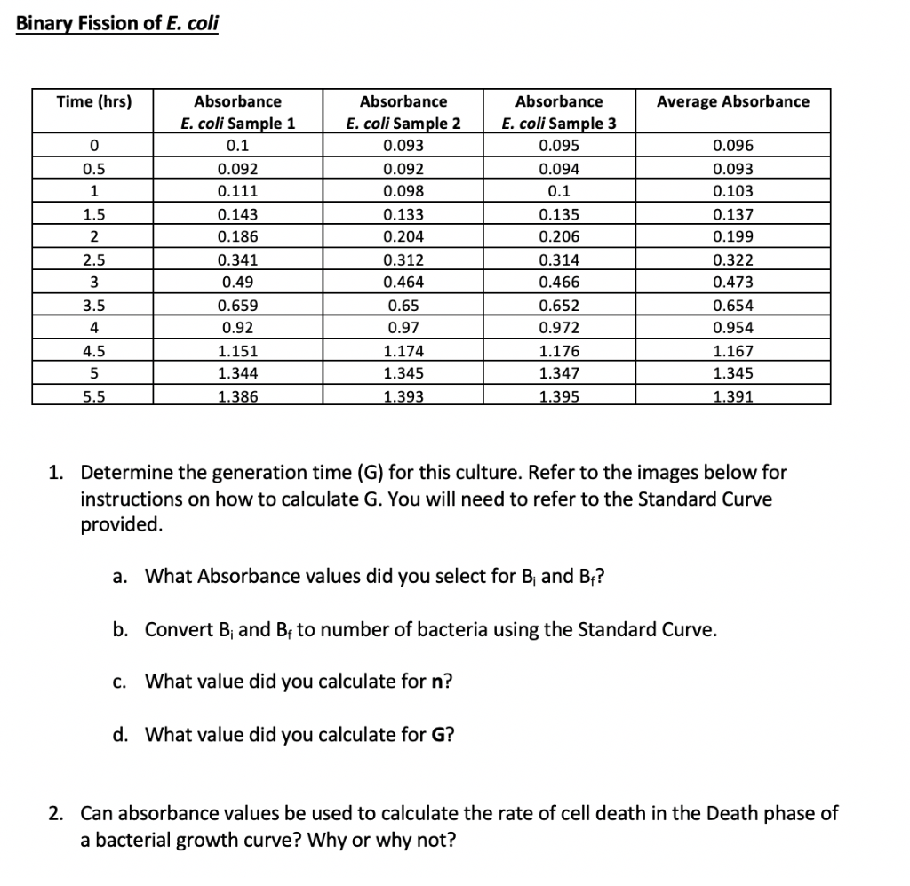 Solved Binary Fission of E. coli Time (hrs) Average | Chegg.com