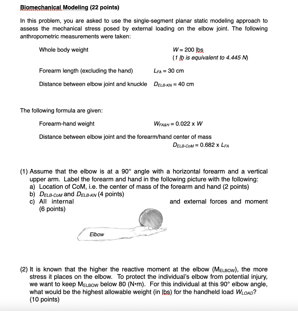 Solved Biomechanical Modeling (22 points) In this problem, | Chegg.com