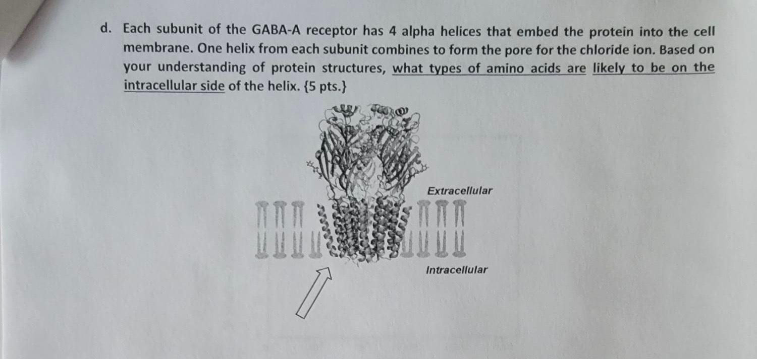 Solved d. Each subunit of the GABA-A receptor has 4 alpha | Chegg.com