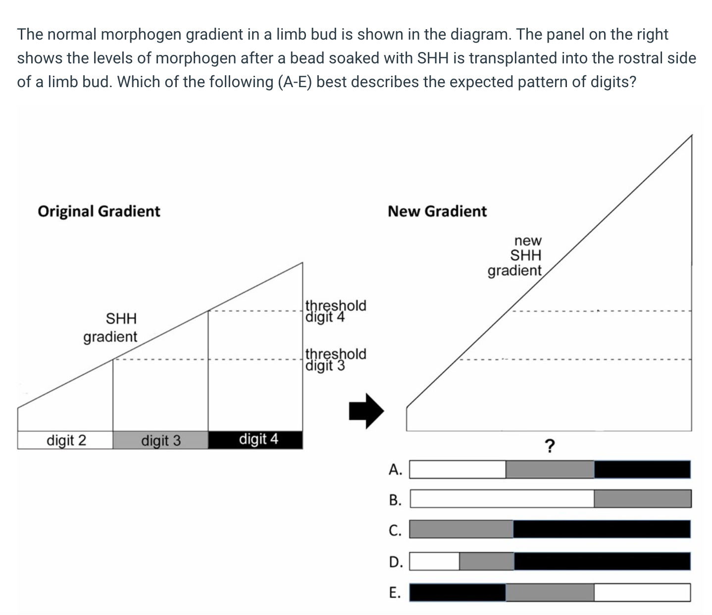 Solved The normal morphogen gradient in a limb bud is shown | Chegg.com