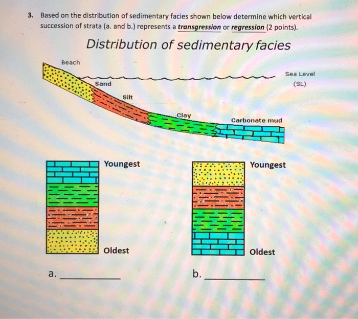 Solved Based on the distribution of sedimentary facies shown | Chegg.com