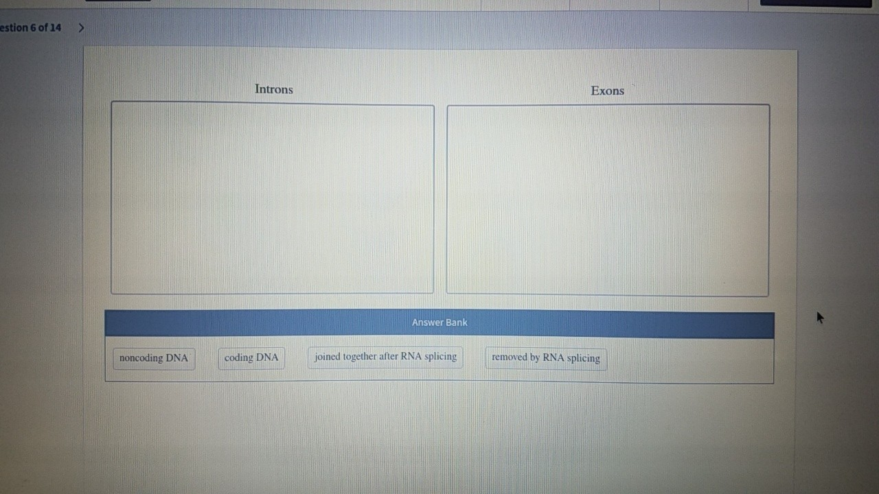 Solved estion 6 of 14 > Introns Exons Answer Bank noncoding | Chegg.com
