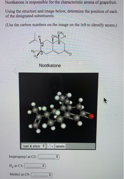 Solved Nootkatone is responsible for the characteristic | Chegg.com