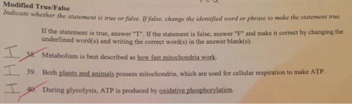 Solved Modified True/False Indicate whether the statement is | Chegg.com