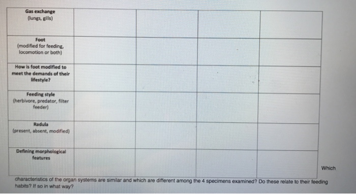 Solved MOLLUSK COMPARISON CHART CLASS Body cavity coelom) | Chegg.com