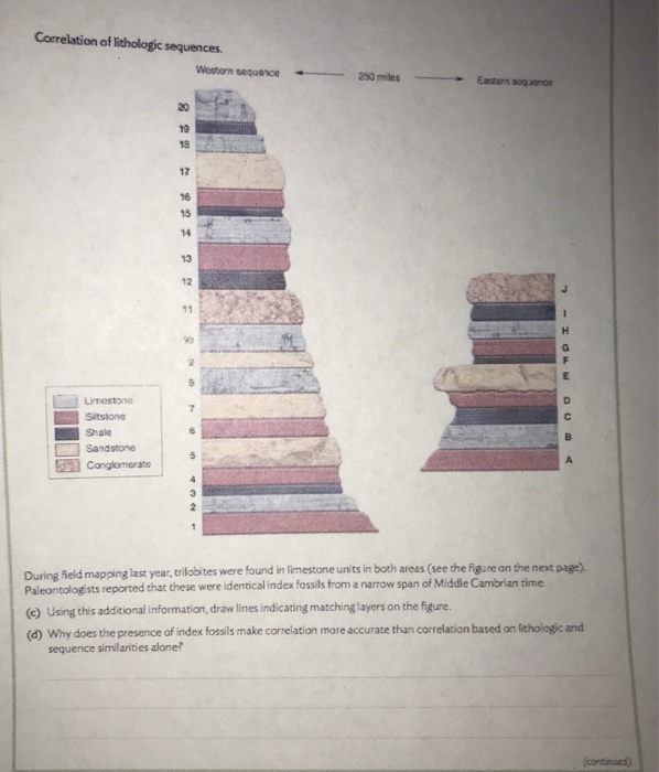 Solved Correlation assisted by index fossils 250 mies Eastom | Chegg.com