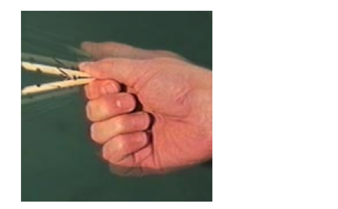 Solved when performing clothespin squeezing with index | Chegg.com