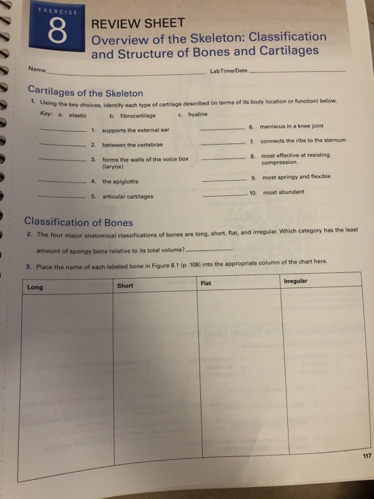 Solved EXERCISE REVIEW SHEET 8 Overview of the Skeleton: | Chegg.com Solved EXERCISE REVIEW SHEET 8 Overview of the Skeleton: | Chegg.com