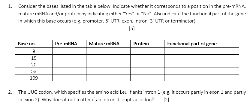 Solved DNA: PromoterlerminatorConsider the bases listed in | Chegg.com