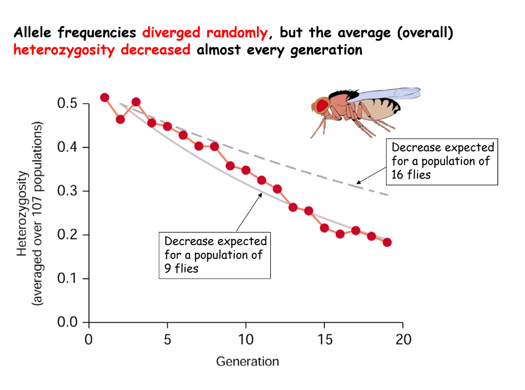 Solved In Peter Buri's drift experiment with fruit flies, | Chegg.com