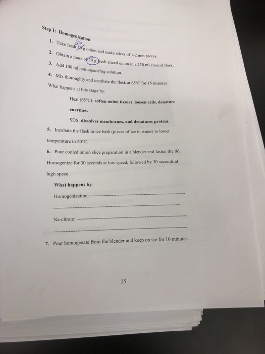 Solved Step I: Homogenization 1. Take g onion and make | Chegg.com