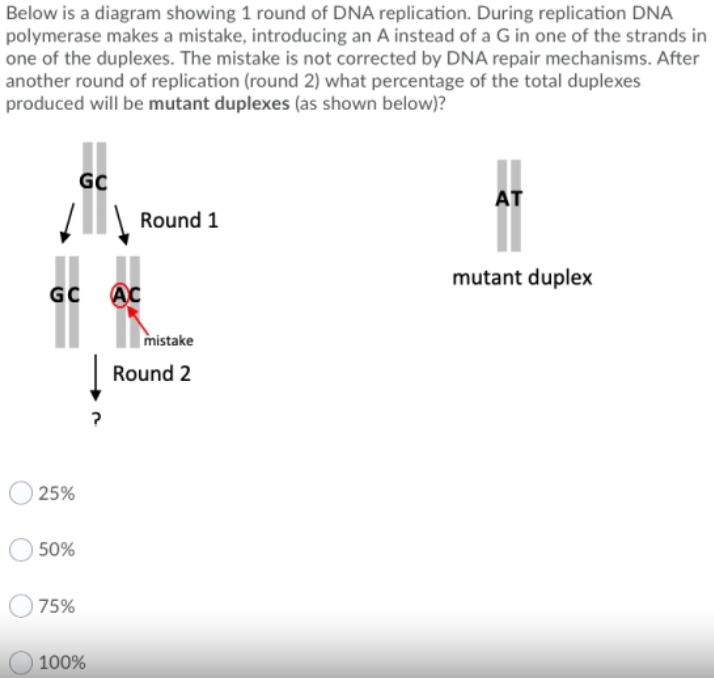 Solved Below is a diagram showing 1 round of DNA | Chegg.com