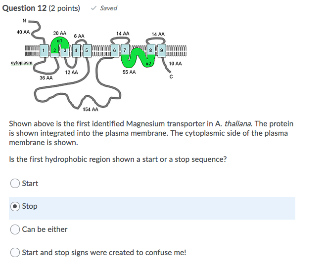 Solved Question 3 (1 point) Saved Proteins destined to enter | Chegg.com