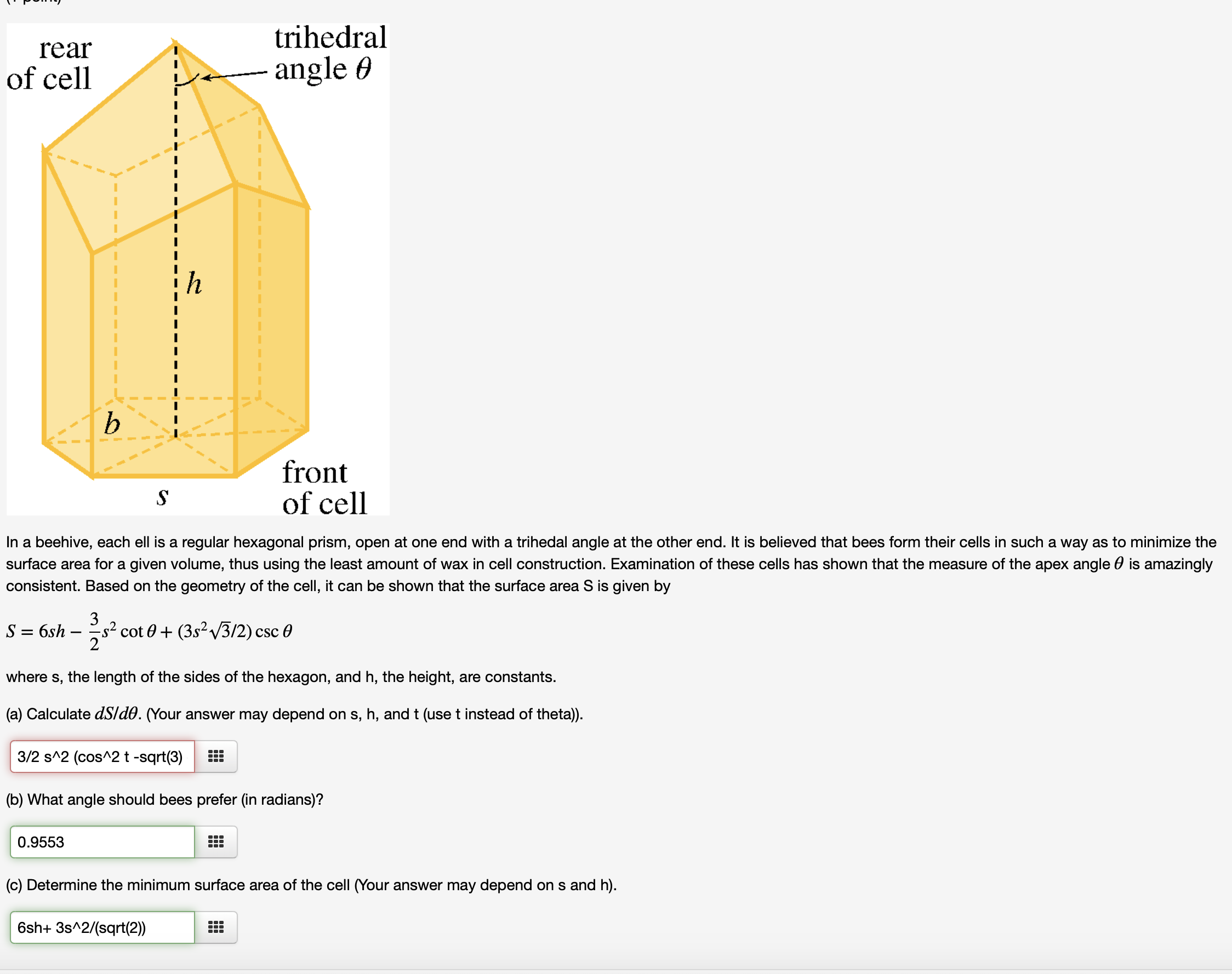Solved rear of cell trihedral angle 6 h b front of cell S In | Chegg.com
