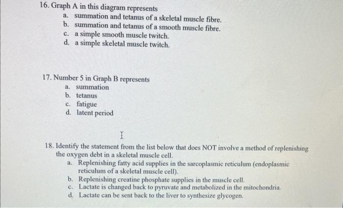 Solved Use the following graphs to answer the next three | Chegg.com