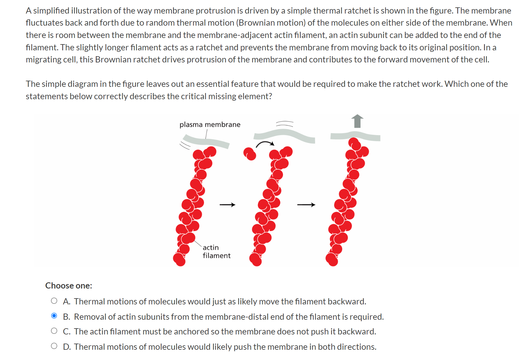 Solved A simplified illustration of the way membrane | Chegg.com