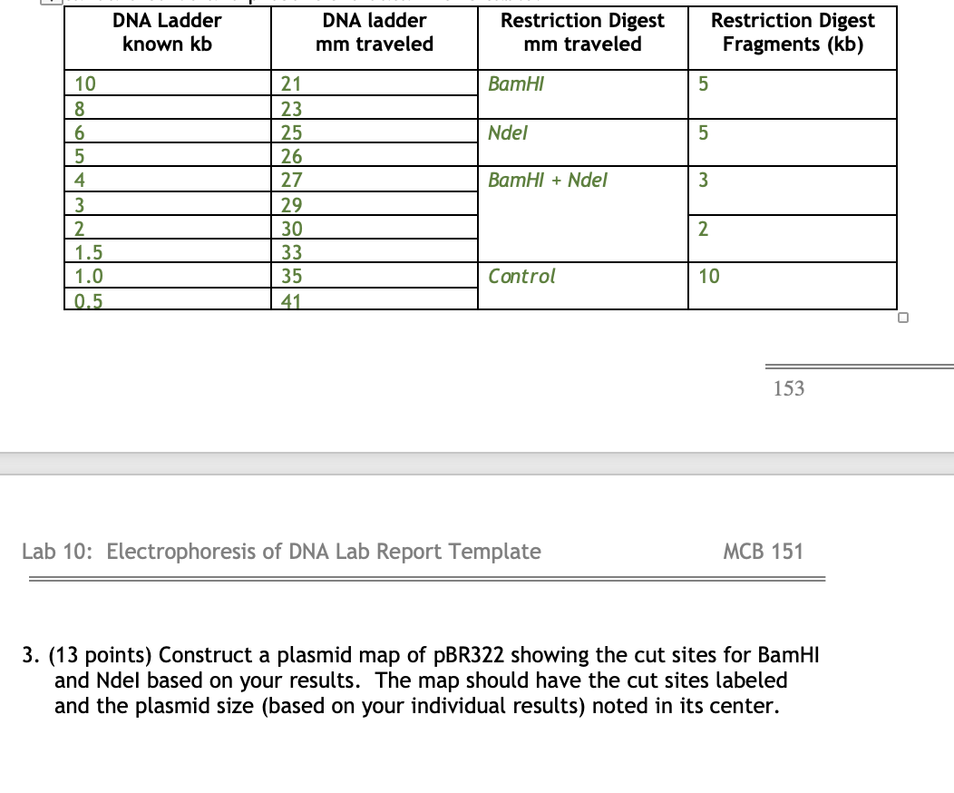 Solved 3. (13 points) Construct a plasmid map of pBR322 | Chegg.com