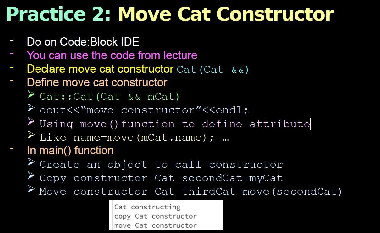 Practice 2: Move Cat Constructor - Do on Code:Block | Chegg.com