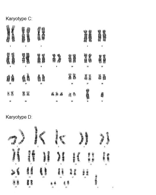 Solved 1.) For each karyotype below, answer these questions: | Chegg.com